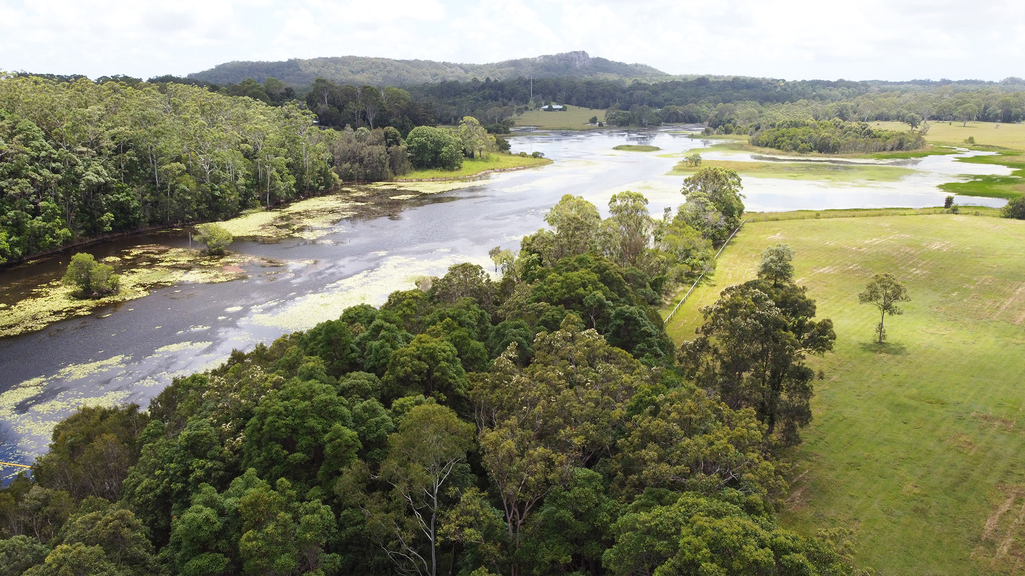 Jabiru Park - Cooroy Community
